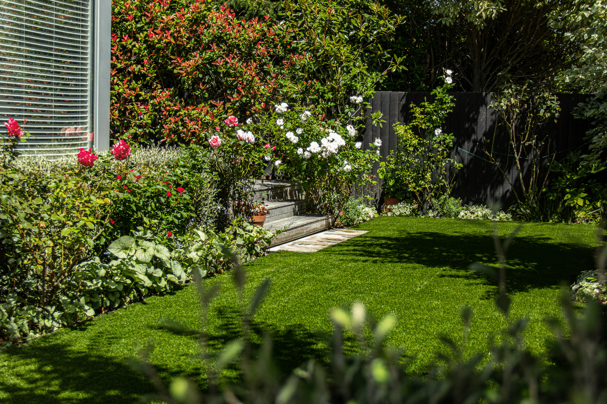 Smart Grass, Low Maintenance - AgedPlus